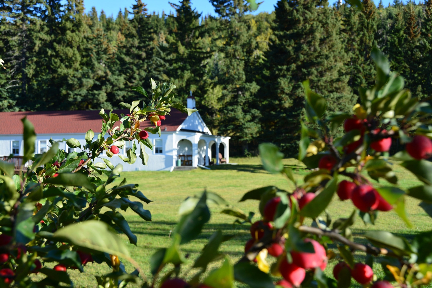 History - Mount St. Francis Retreat